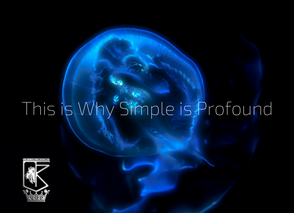 This is Why Simple is Profound - CrownOfMind.Com